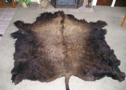Buffalo Robes